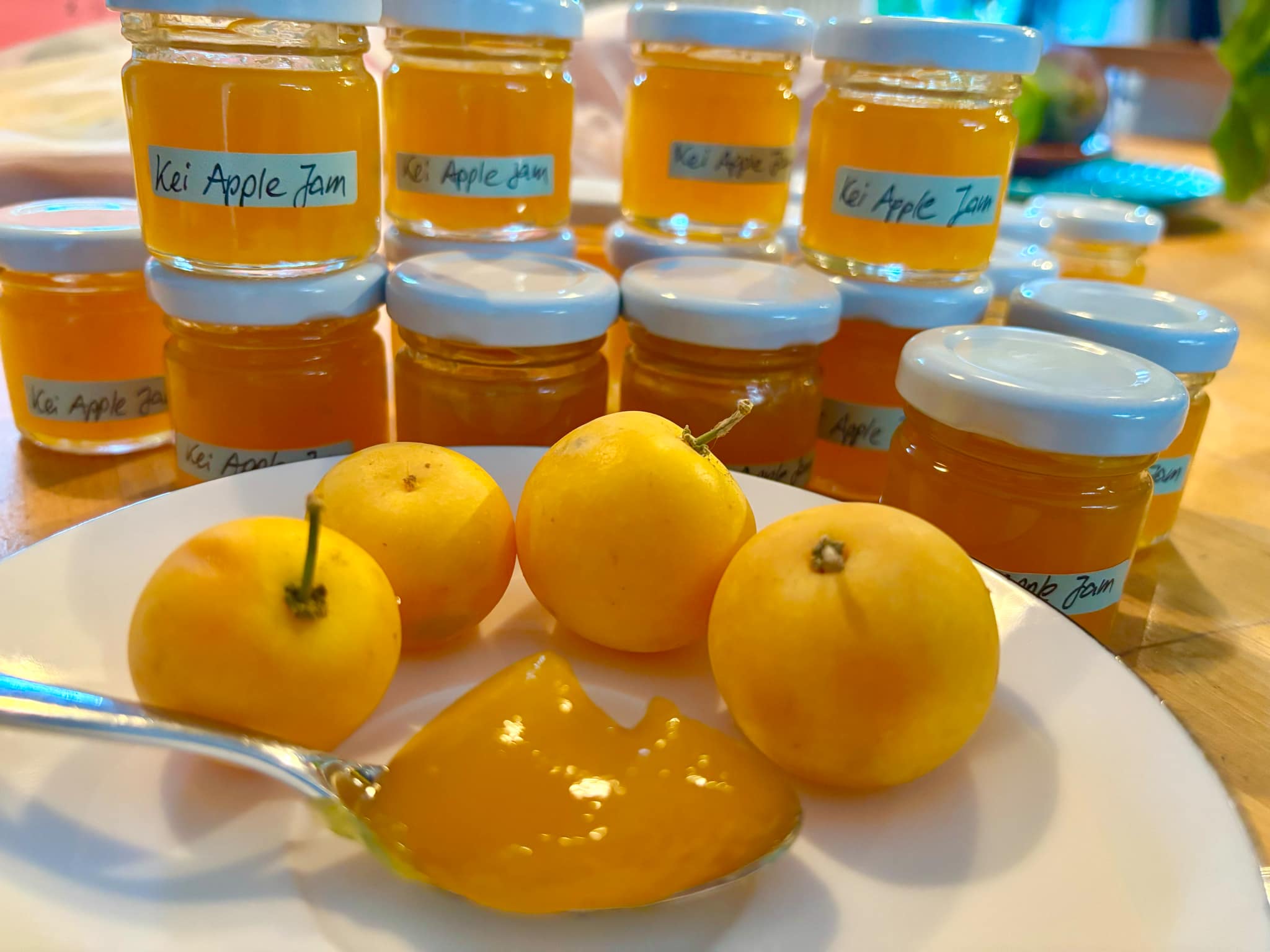 Kei Apple (Dovyalis caffra)